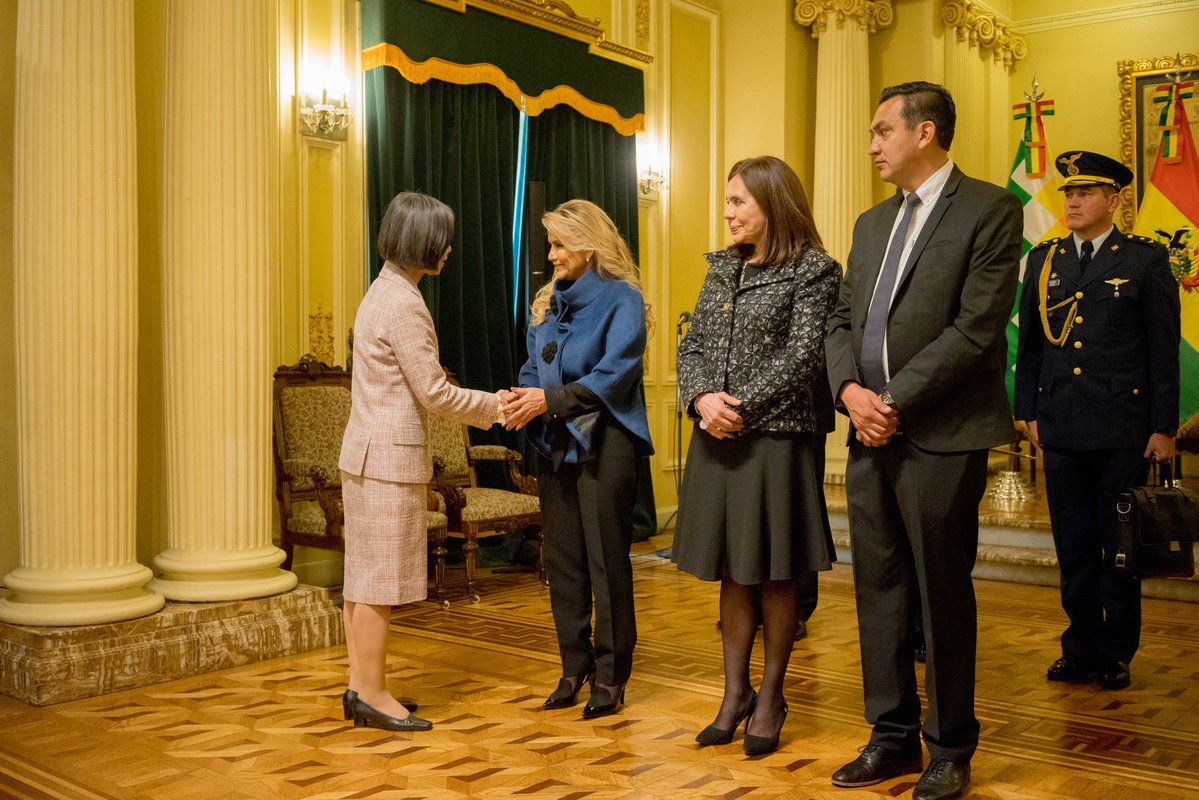 He Recibido El Saludo Protocolar De Los Señores Embajadores Jefes De