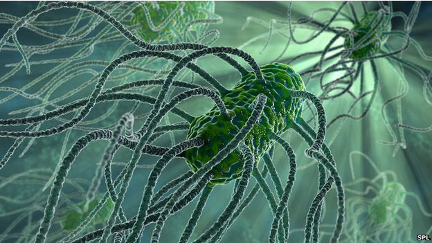 El apocalipsis, un mundo sin antibióticos – eju.tv