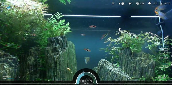 Aquard.io nos permite dar de comer a peces reales de un acuario – eju.tv