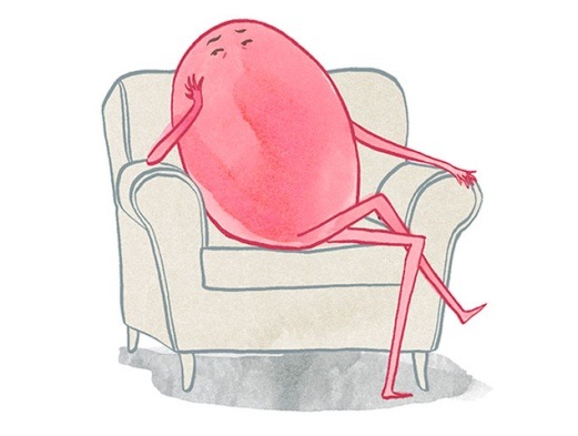 Entrevista al clítoris: “Guardo todavía muchos secretos” – eju.tv