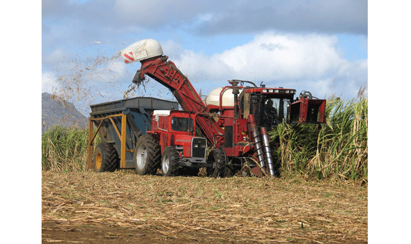 Zafra azucarera moverá 200 millones de dólares – eju.tv