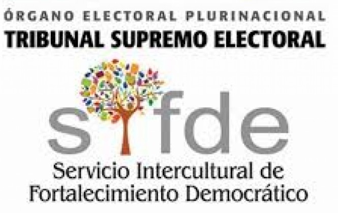 Referéndum: SIFDE identificó que la pregunta del MAS no era imparcial ...