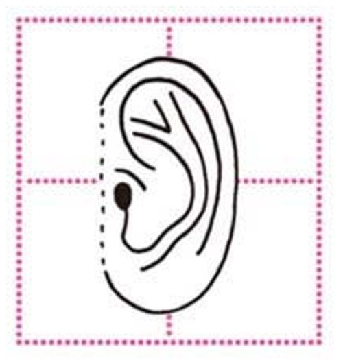 La forma de las orejas revela nuestra personalidad. ¿Quieres saber qué ...