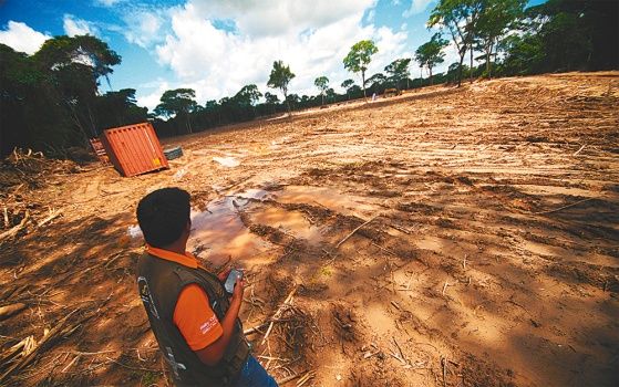 Talan 6,8 ha de bosque al borde del río Surutú – eju.tv