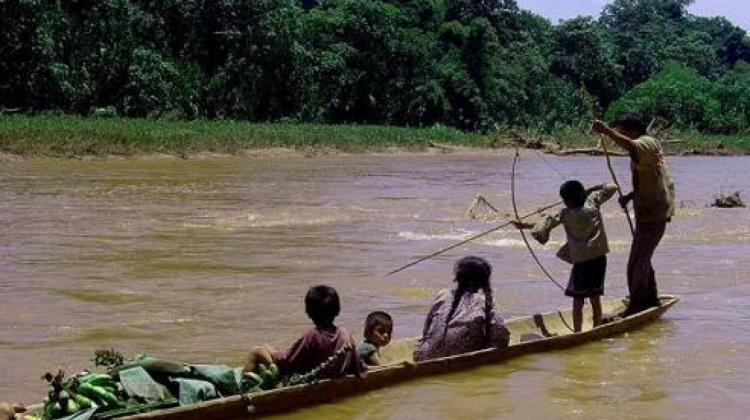 La dieta y la actividad física son los secretos del pueblo Tsimané para ...
