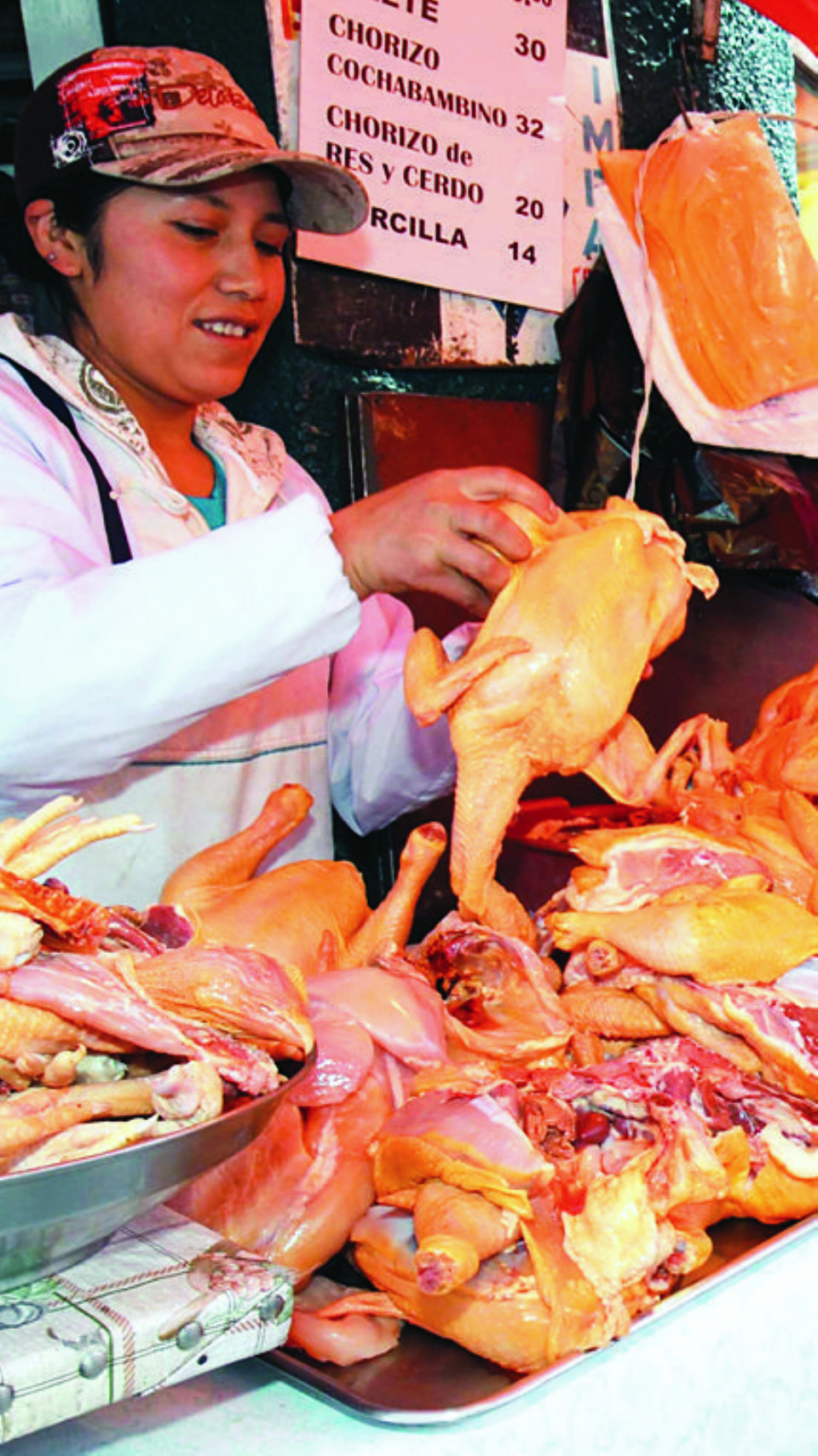 Pollo Sofía se vende a bajo precio y los avicultores critican – eju.tv