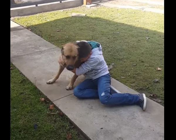 Viral: el historia detrás del conmovedor video del reencuentro de Rocco ...