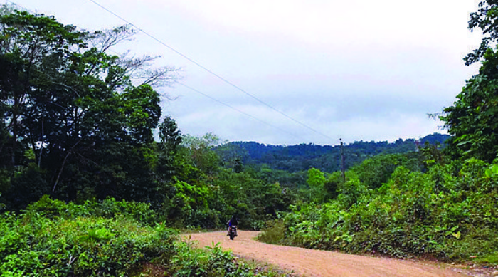 TIPNIS por dentro: la reserva asediada – eju.tv