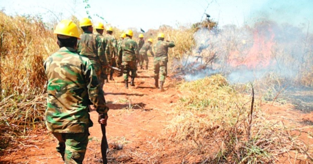 Alarma por incendios: el fuego arrasó unas 2.000 hectáreas en Roboré ...