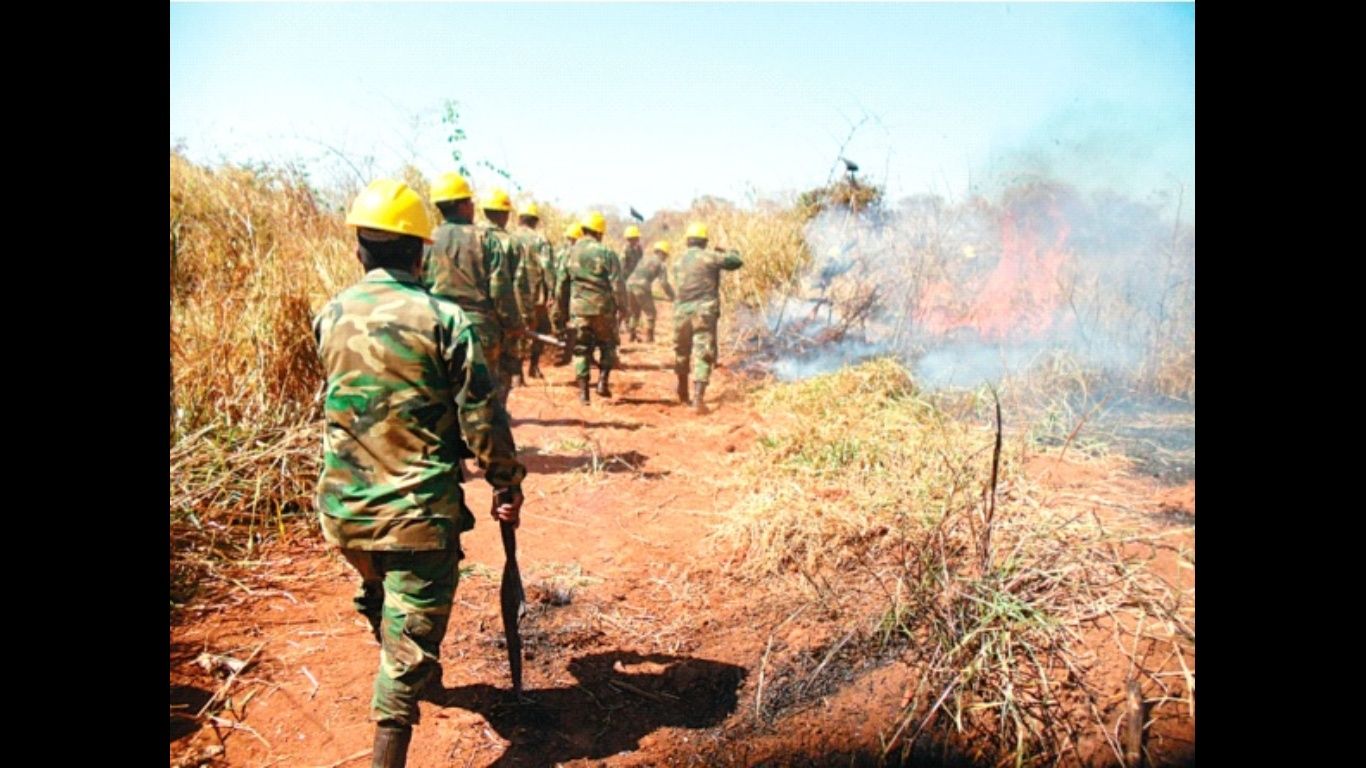 Alarma por incendios: el fuego arrasó unas 2.000 hectáreas en Roboré ...