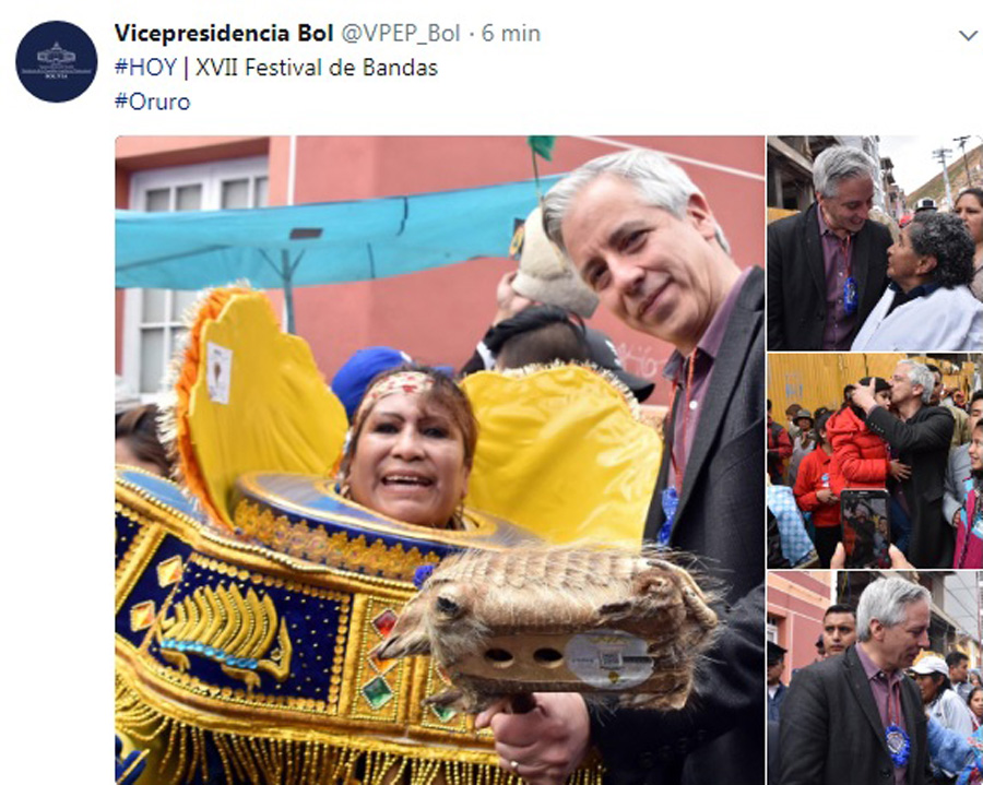 Vicepresidente García luce una matraca de quirquincho, una especie en ...