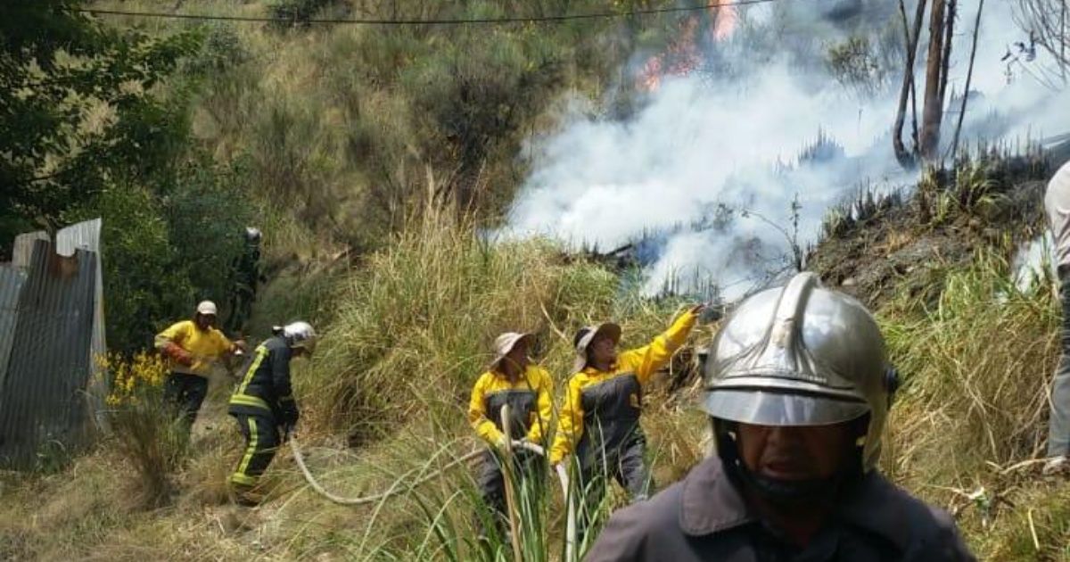 Incendio causa susto en el Parque Urbano Central de La Paz – eju.tv