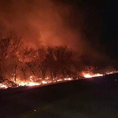 Preocupado por el incendio en Roboré. Terrible pérdida de riqueza ...
