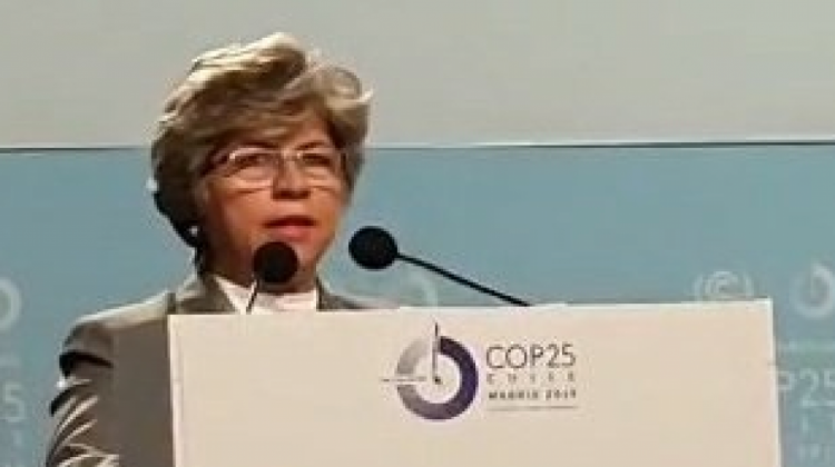 Pinckert en COP25: Bolivia tiene la deforestación per cápita más alta ...